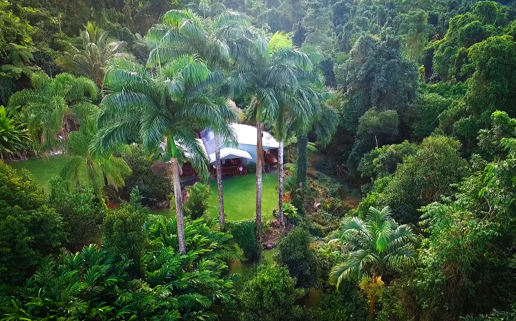 Wild Ginger Rainforest Retreat - Houses for Rent in Bellenden Ker ...