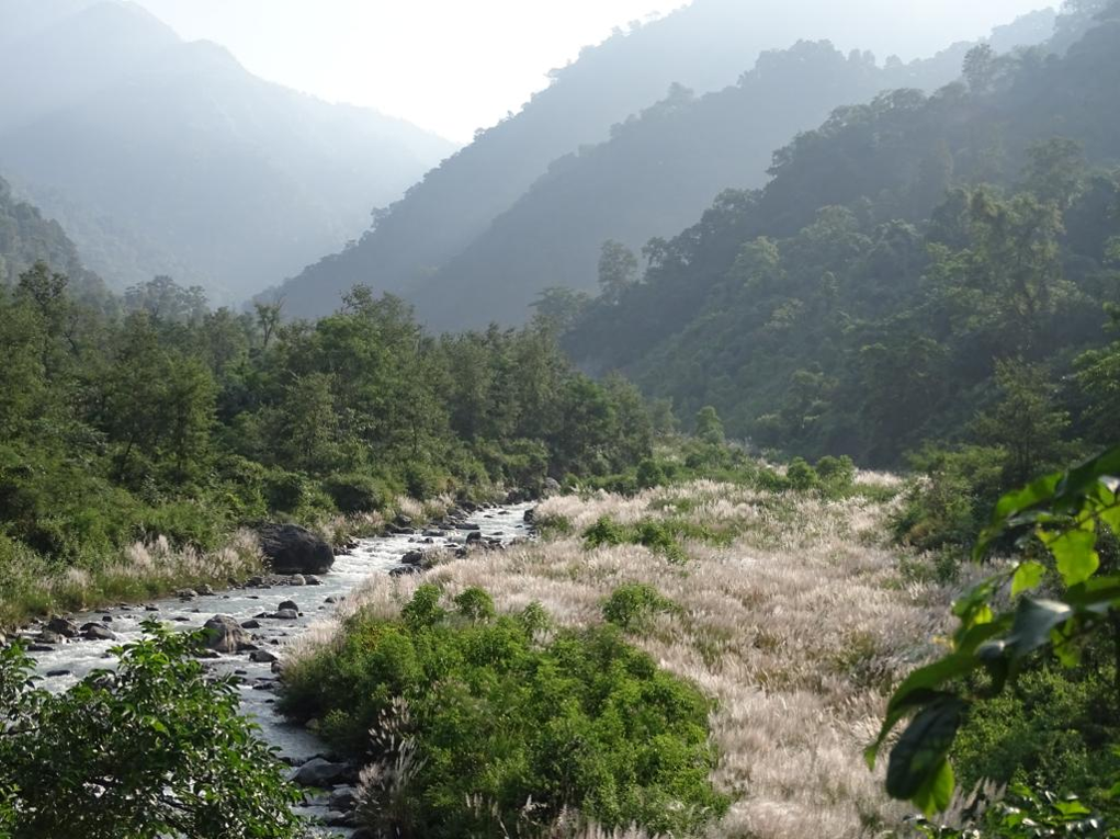 Syat House - By the River, with forested mountains - Bungalows for Rent ...