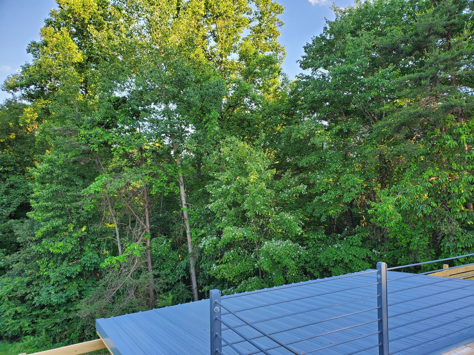 The Blue Bird Shipping Container House NEWRemodel - Shipping containers ...