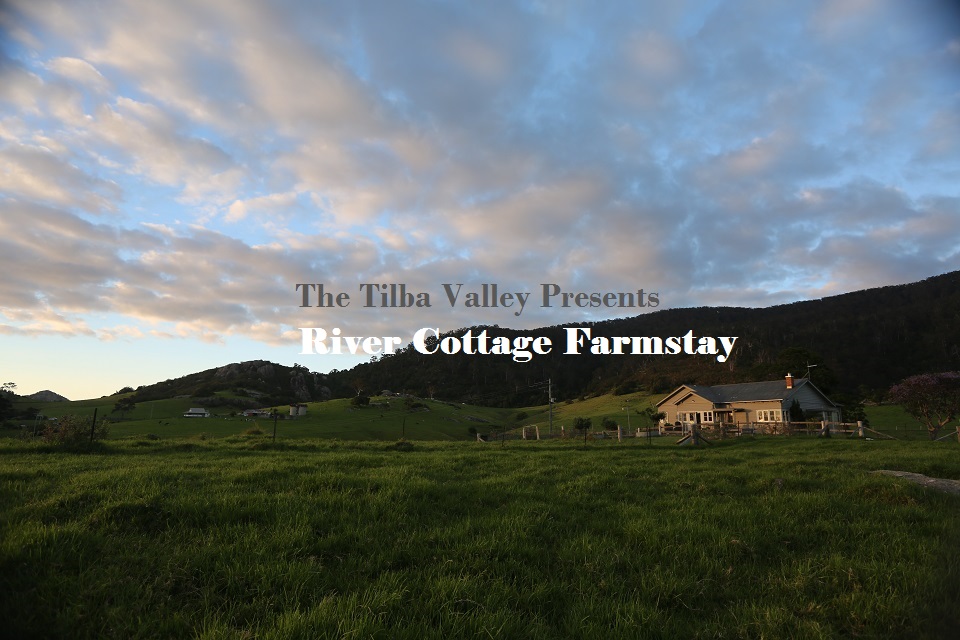 River Cottage - Central Tilba - Farm stays for Rent in Central Tilba ...