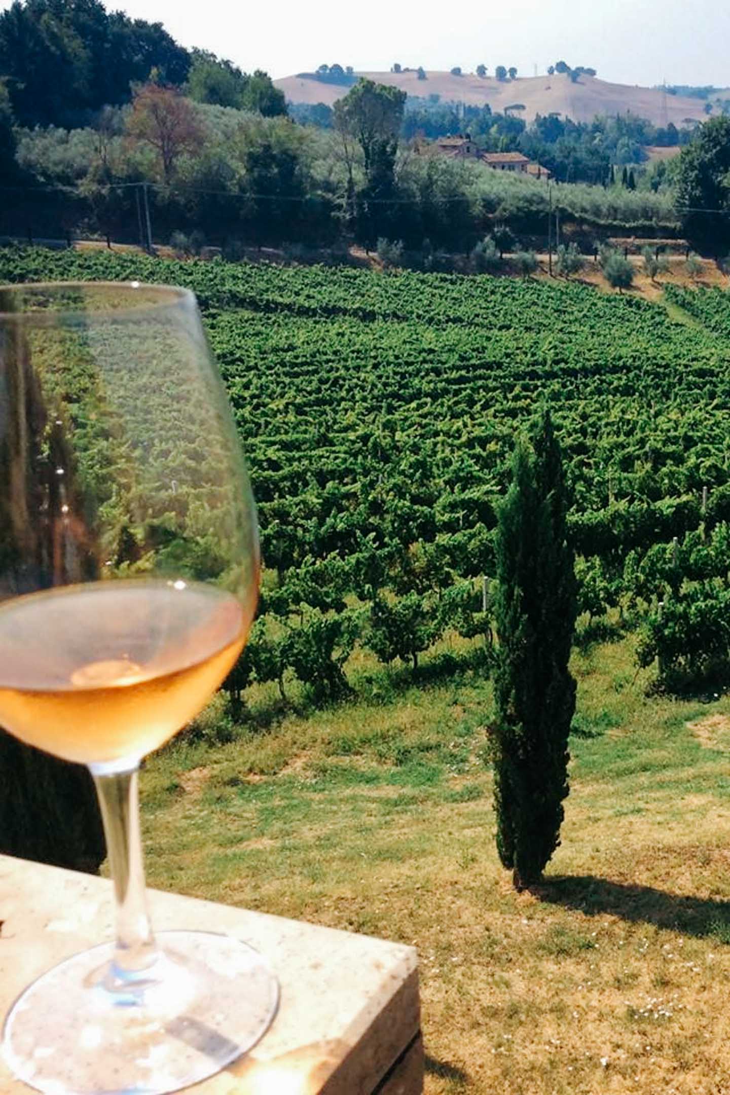 Rome Wine Tour, unforgettable day trip - Airbnb