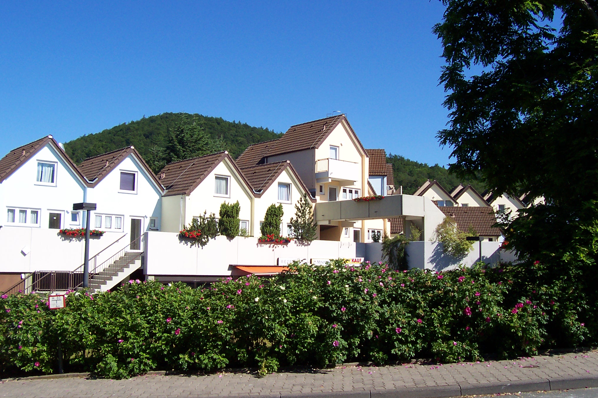 Studio Urwaldsteig, Edersee Peninsula Scheid