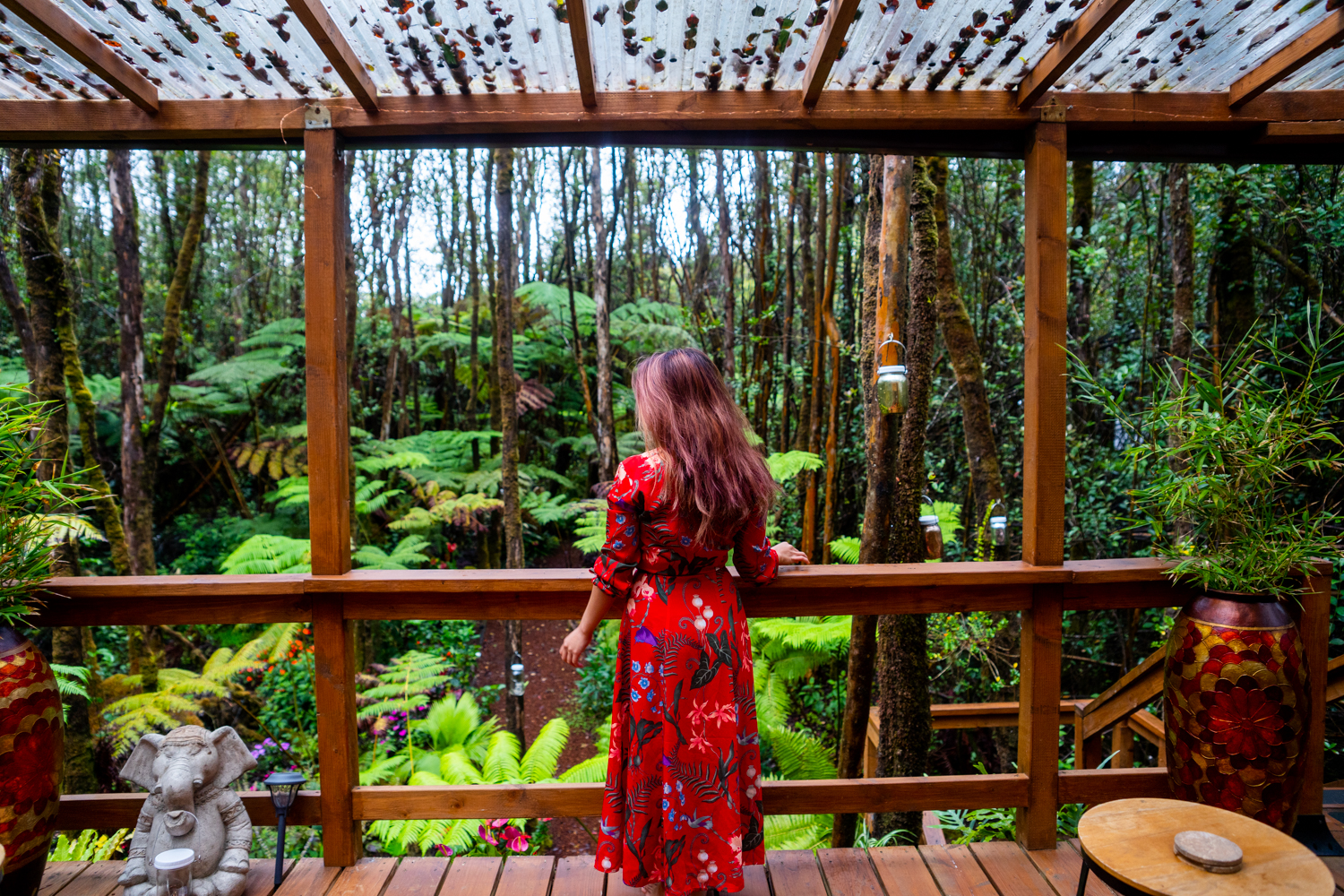 Peaceful Rainforest Treehouse Retreat - Treehouses for Rent in Volcano ...