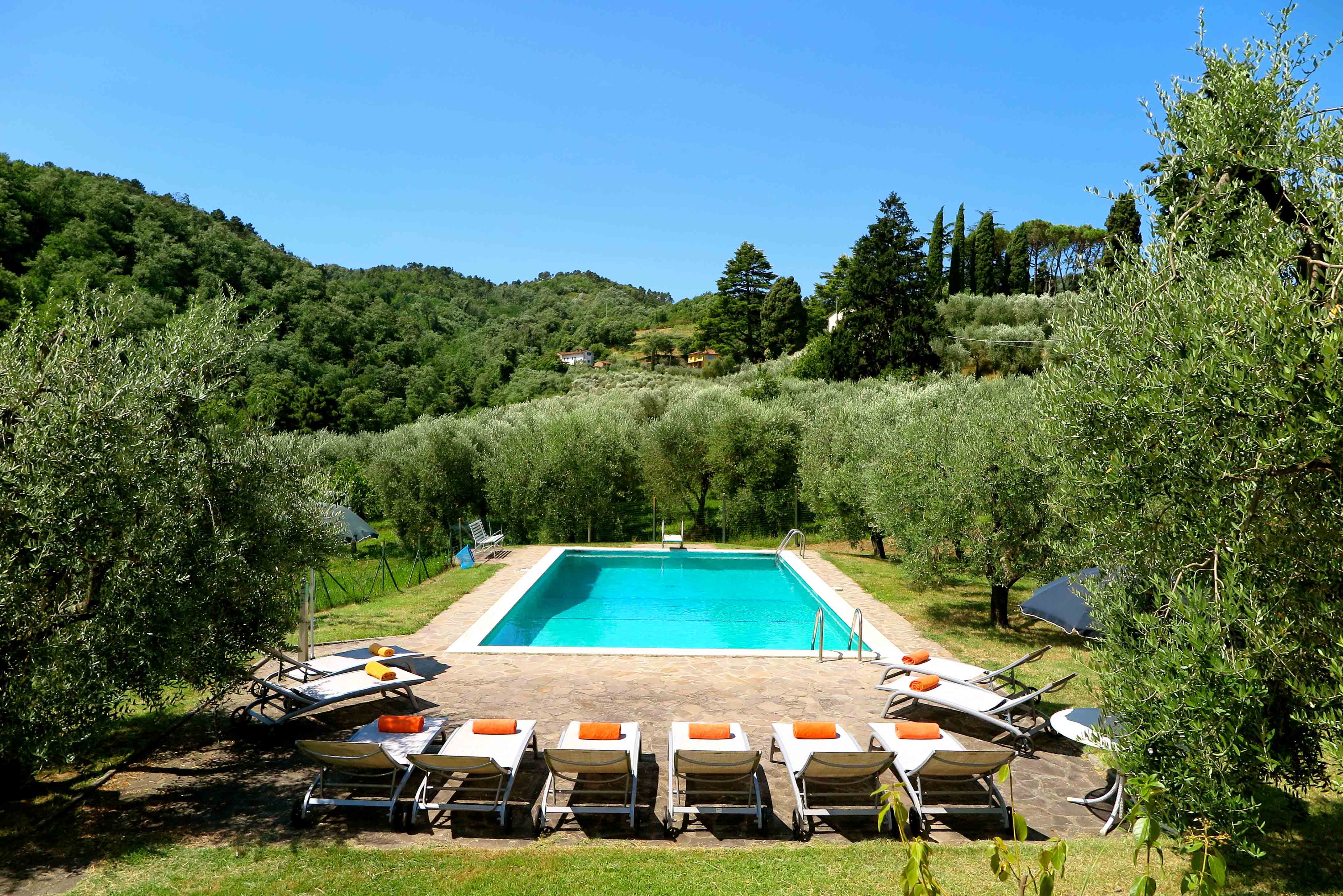 Tuscan Villa - Houses for Rent in Baco, Tuscany, Italy
