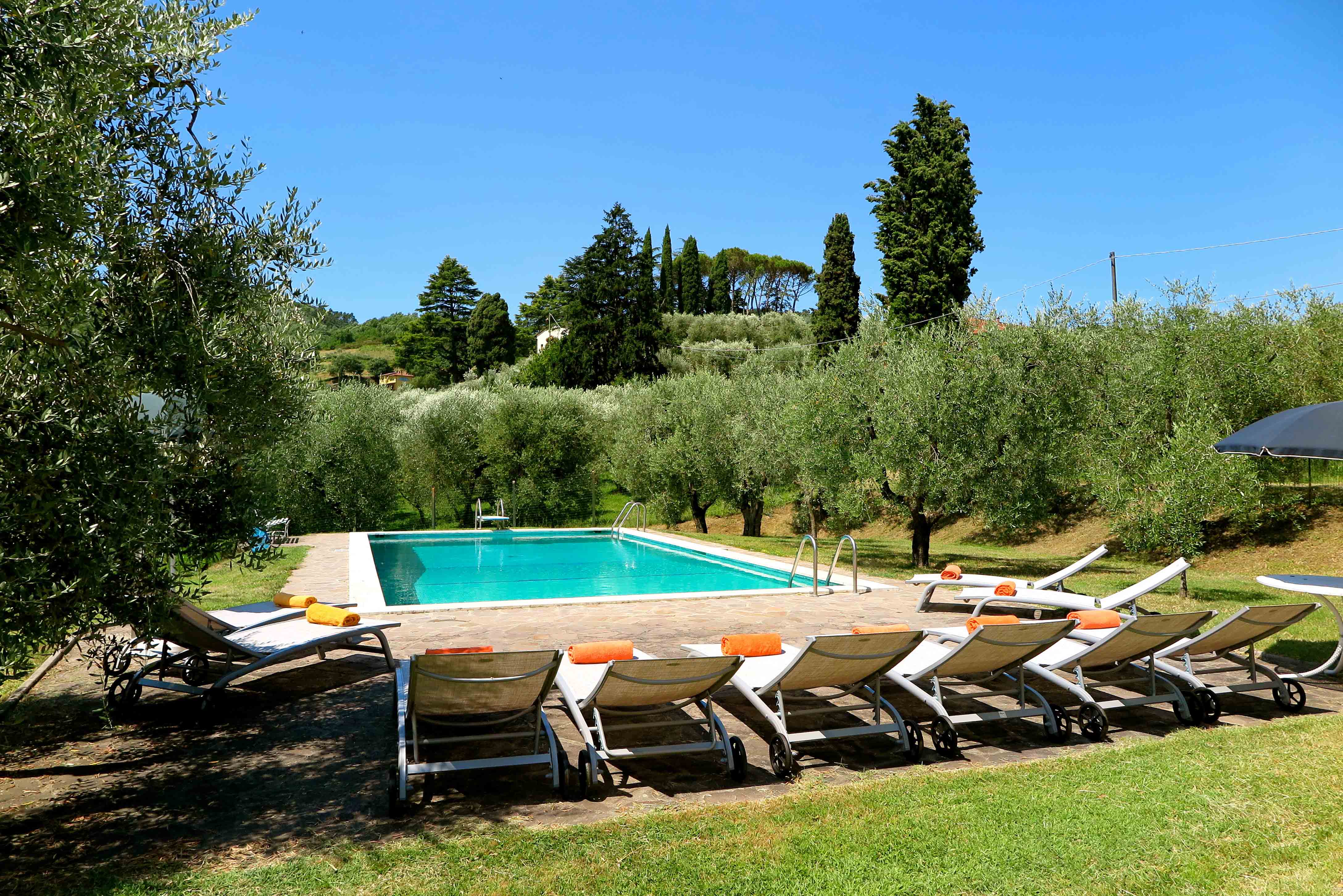 Tuscan Villa - Houses for Rent in Baco, Tuscany, Italy
