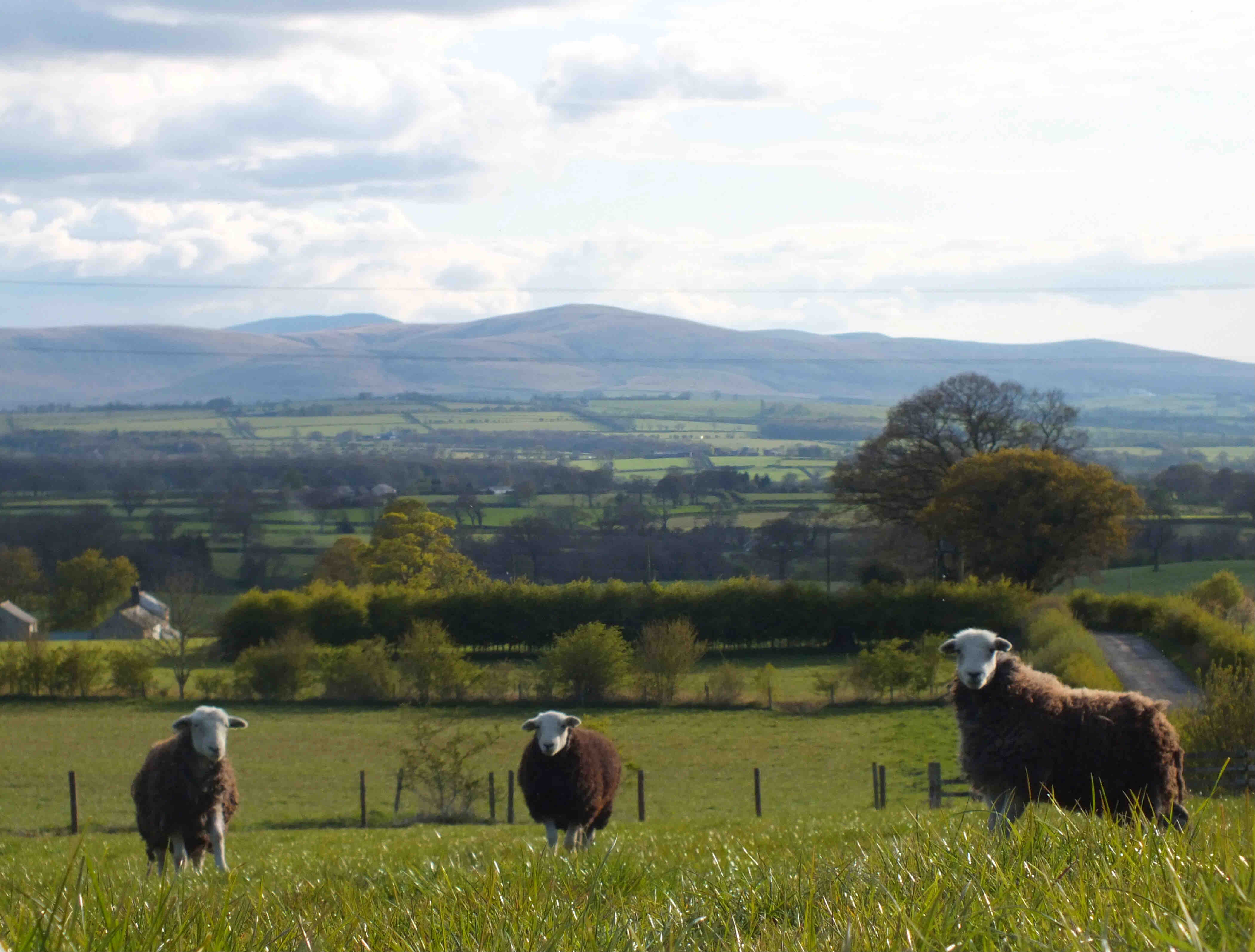 Blencathra Byre is on a Cumbrian working farm - Barns for Rent in ...