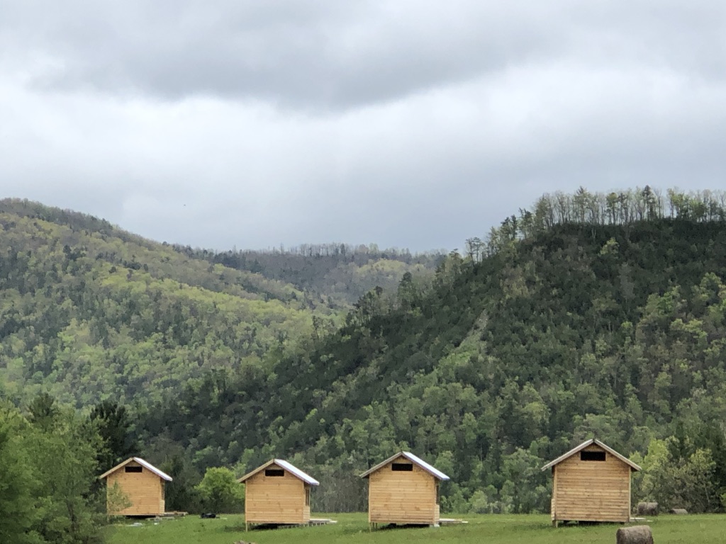 Mountain Meadow Glamping Cabin Paint Rock Farm #10 - Tiny houses for ...