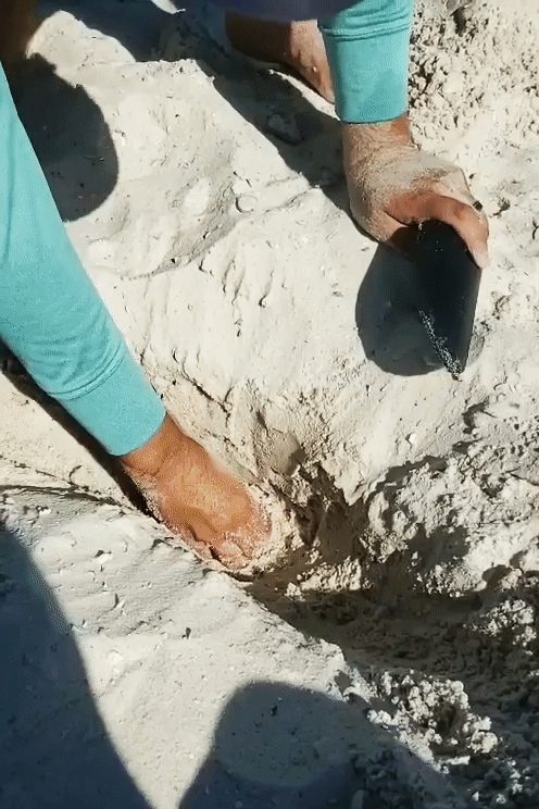 Seashell Hunting In Gulf Shores AL - Airbnb