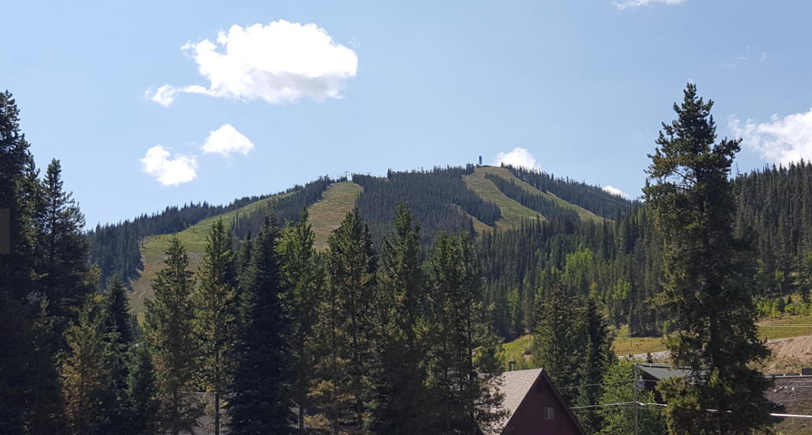 Winter Park Base Camp Condo, walk to trails&dining - Condominiums for ...