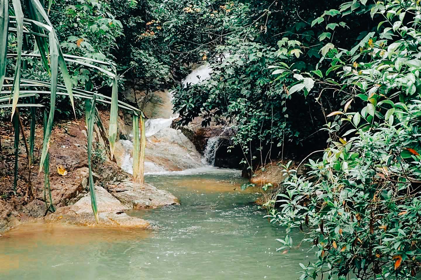 The Secret Waterfall of Penang - Airbnb