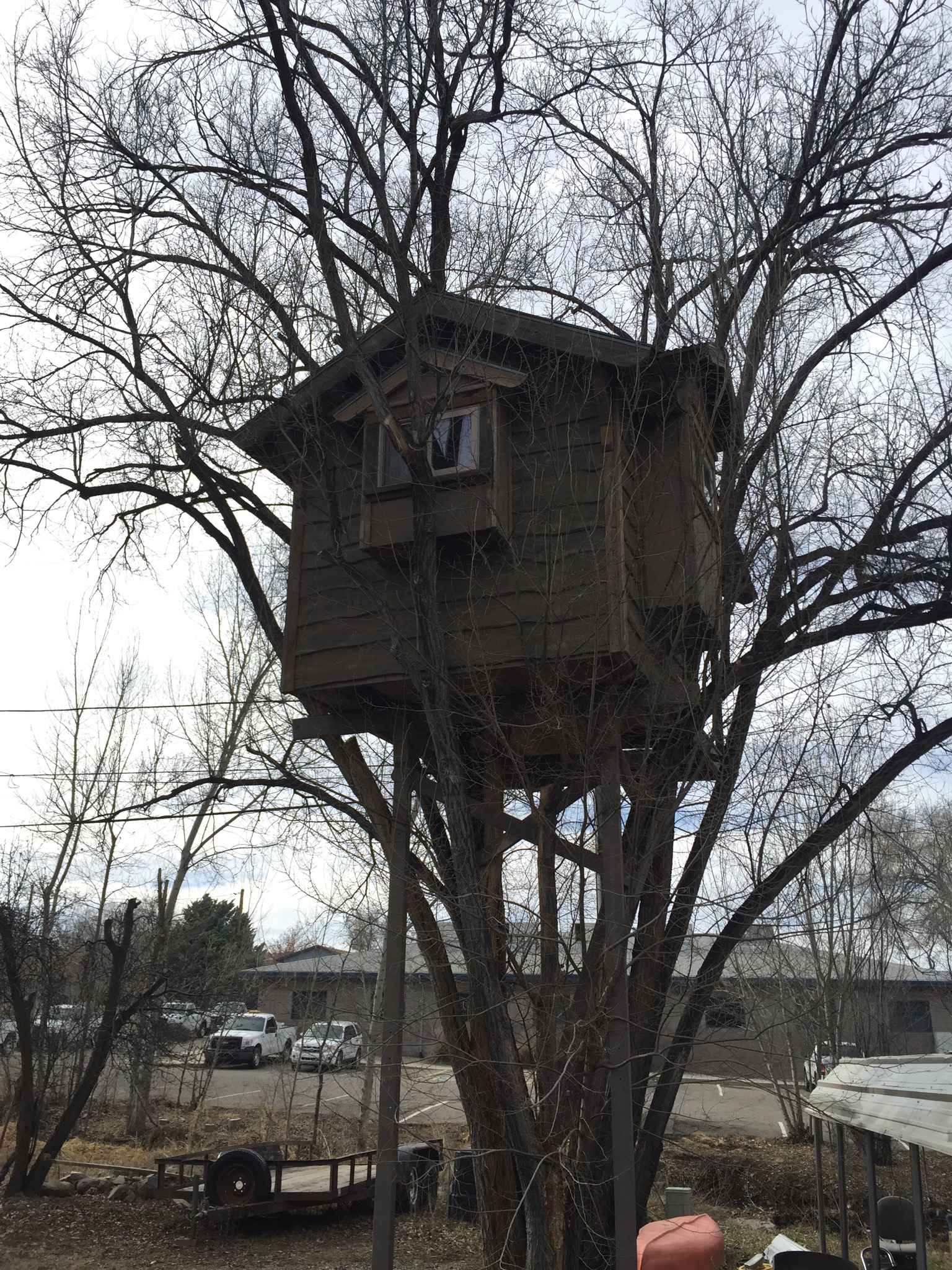 Treehouse - Treehouses for Rent in Prescott, Arizona, United States ...