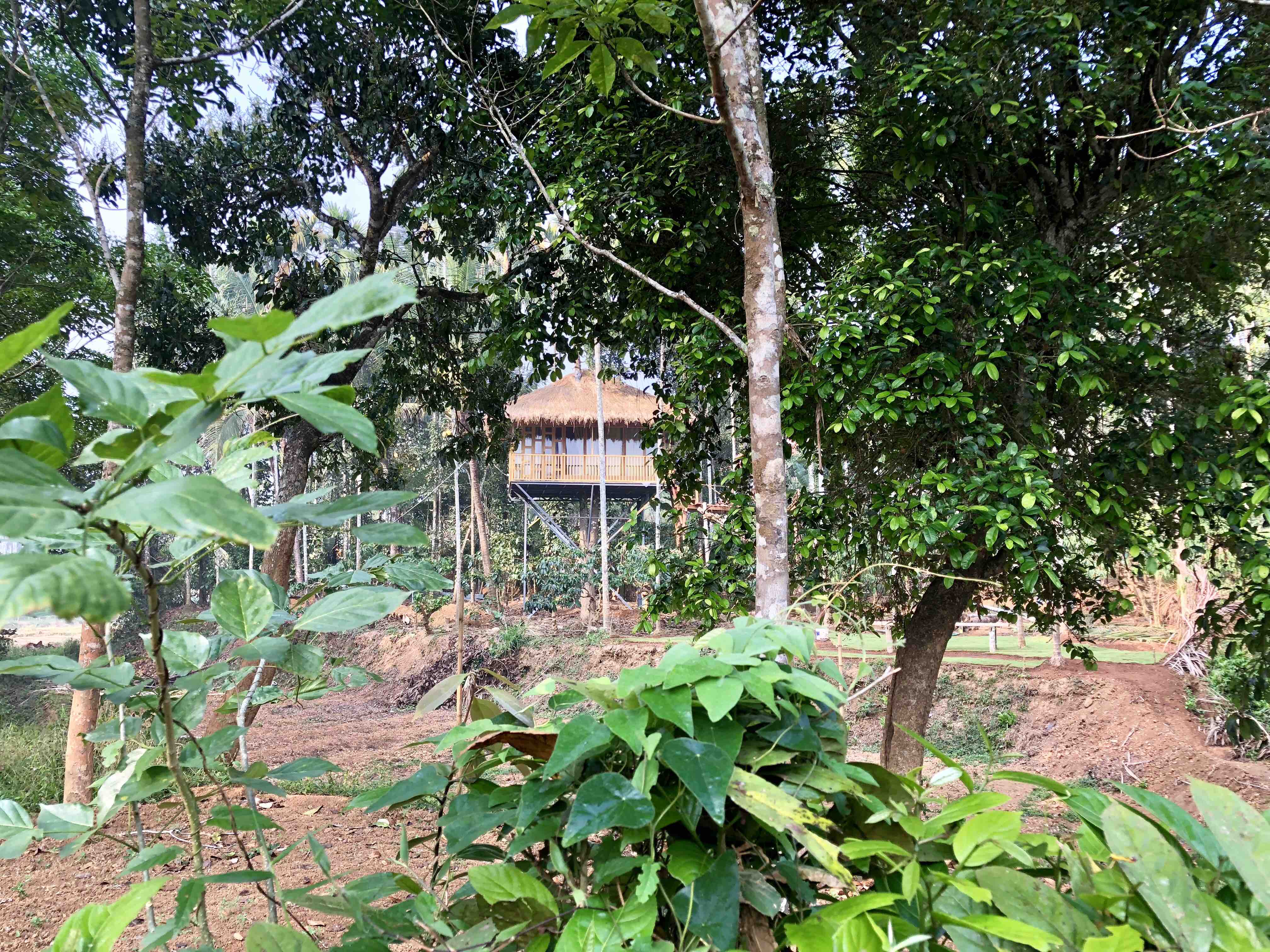 Wayanad Treehouse- A Riverside Plantation Stay - Treehouses for Rent in ...