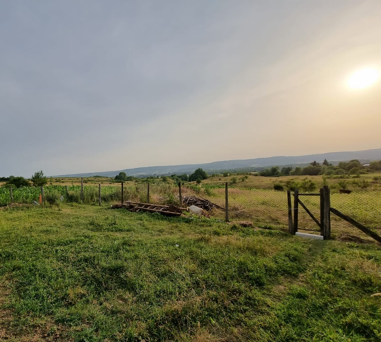 Courage cottage - Places de camping à louer à Sat Ciocanari, Comuna ...