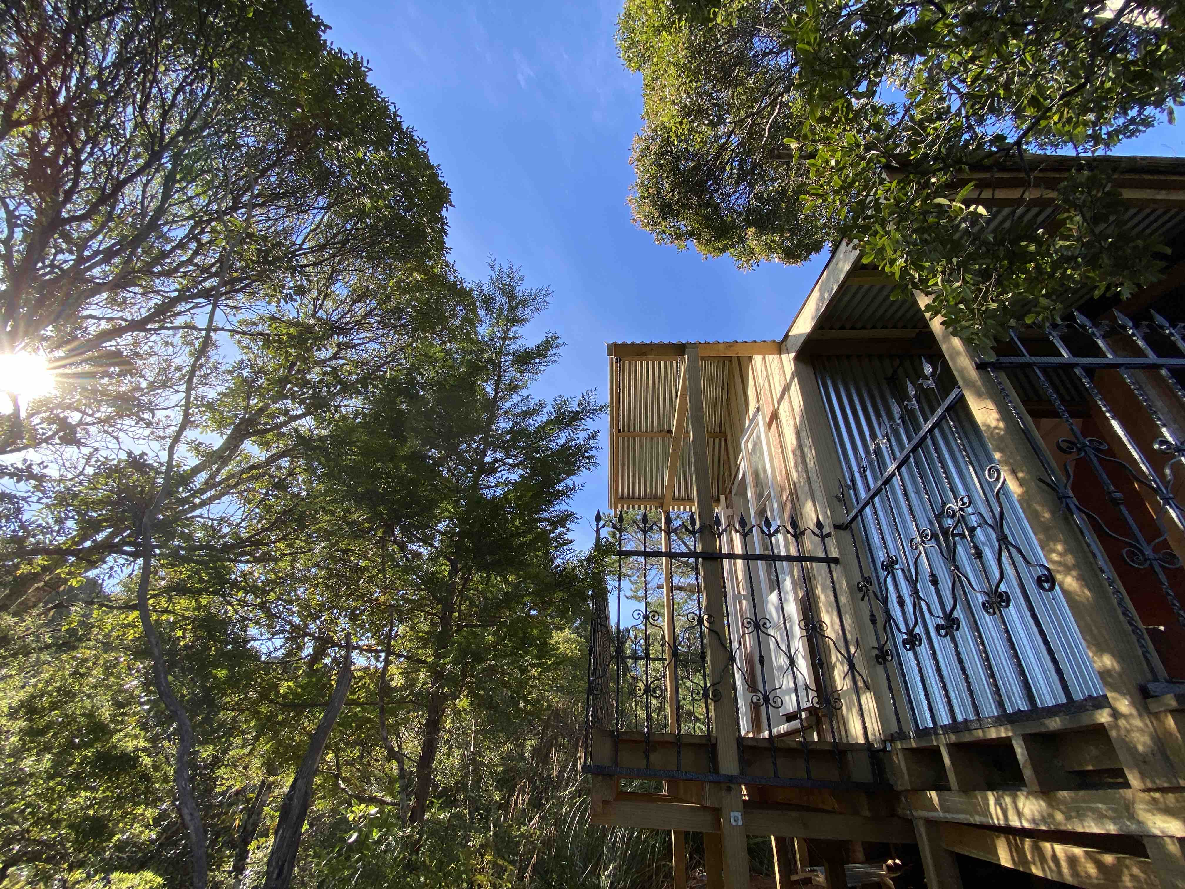 Wild Forest Tree Hut Eco Retreat + outdoor bath - Treehouses for Rent ...