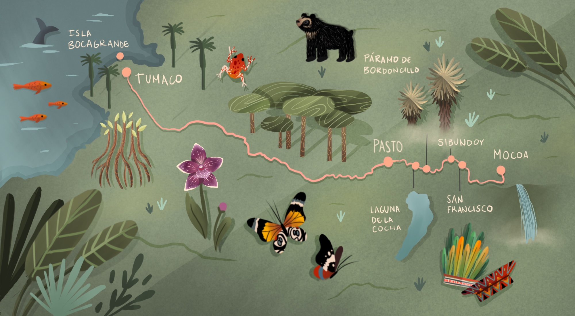 Ruta del Pacífico, los Andes, y la Amazonia