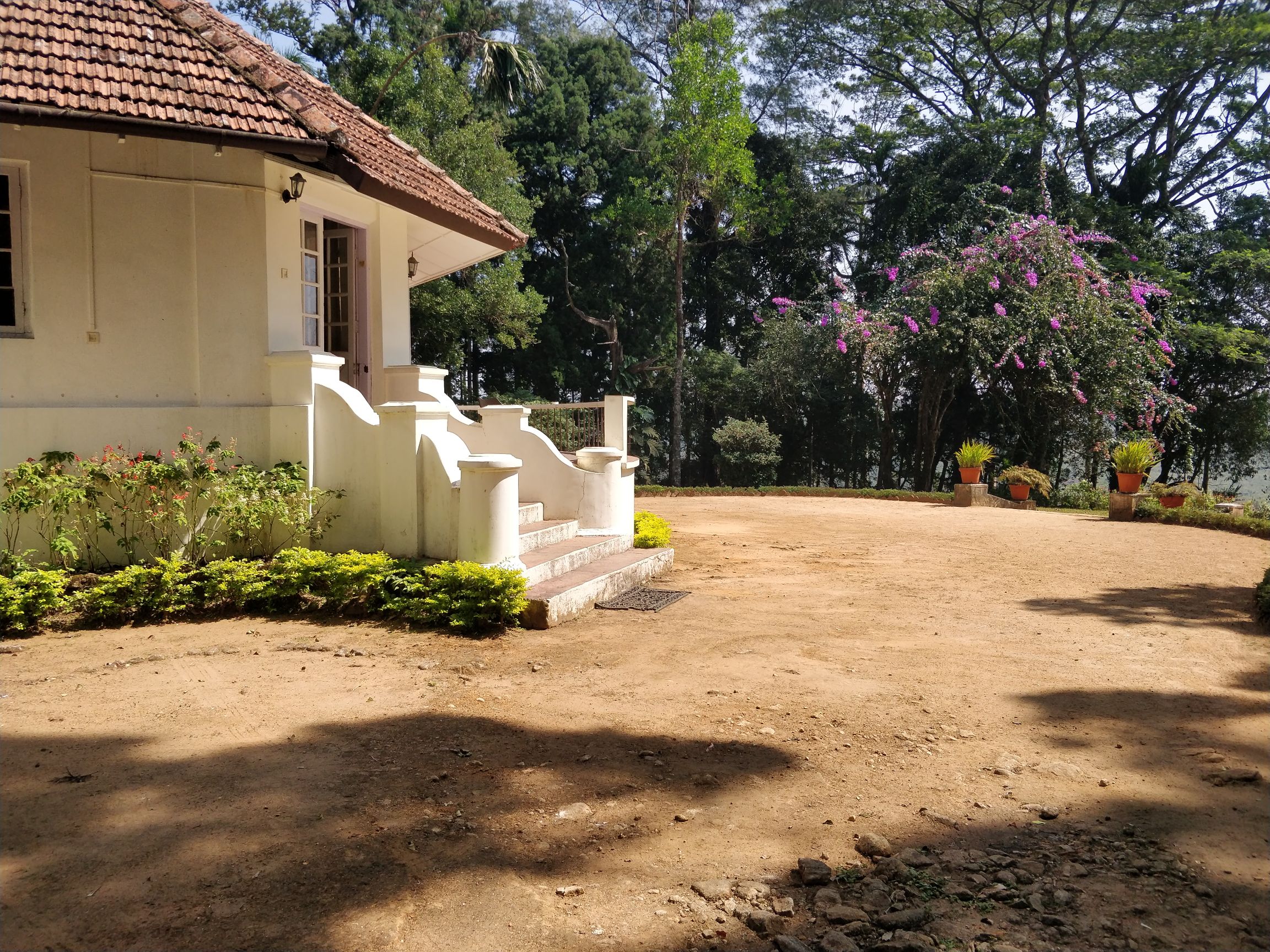 Ashley Bungalow - Bungalows for Rent in Kuttikkanam, Kerala, India - Airbnb