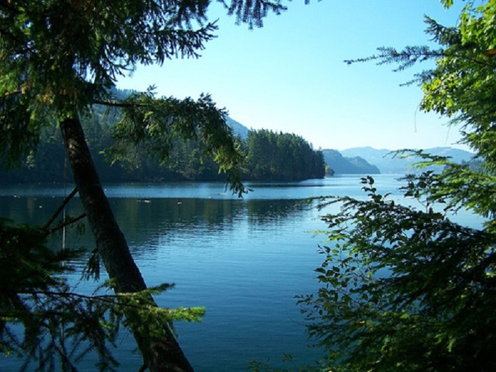 Magical Refuge by the Forest - Guest houses for Rent in Ariel ...