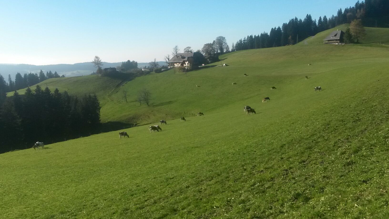 Emmental Alpine Views, between Bern-Thun - Airbnb