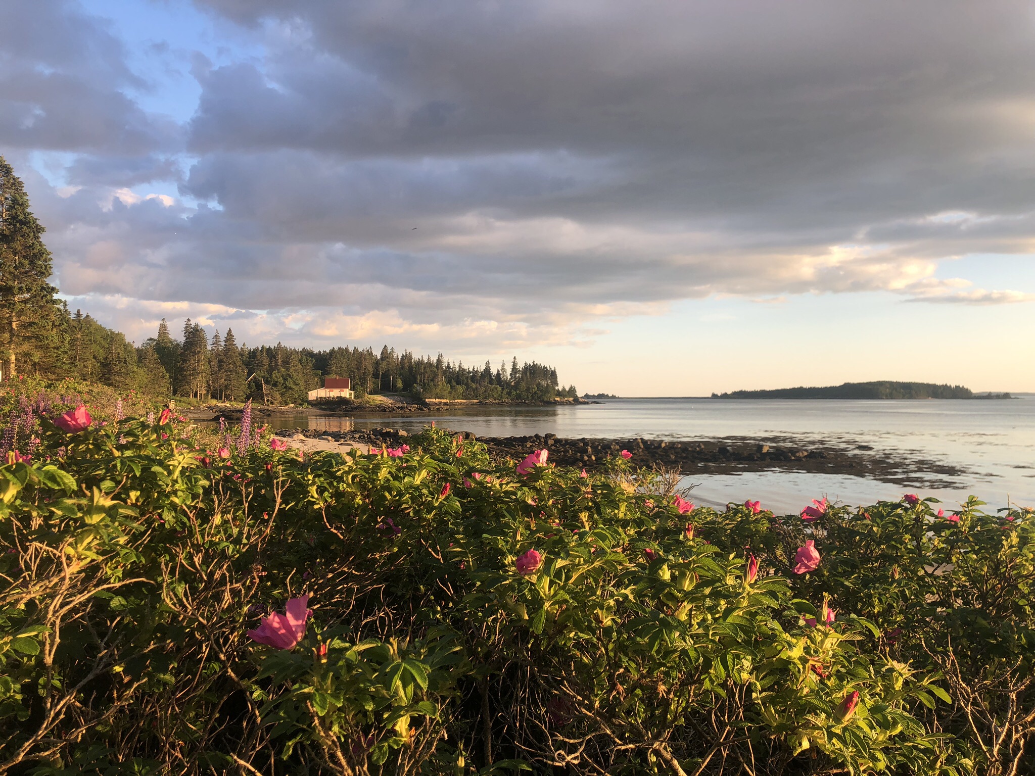 Cape Escape on the Maine Coast - Houses for Rent in Addison, Maine ...