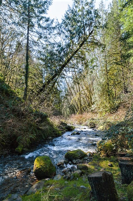 Secluded creekside cabin (Ariel, WA) - Cabins for Rent in Ariel ...