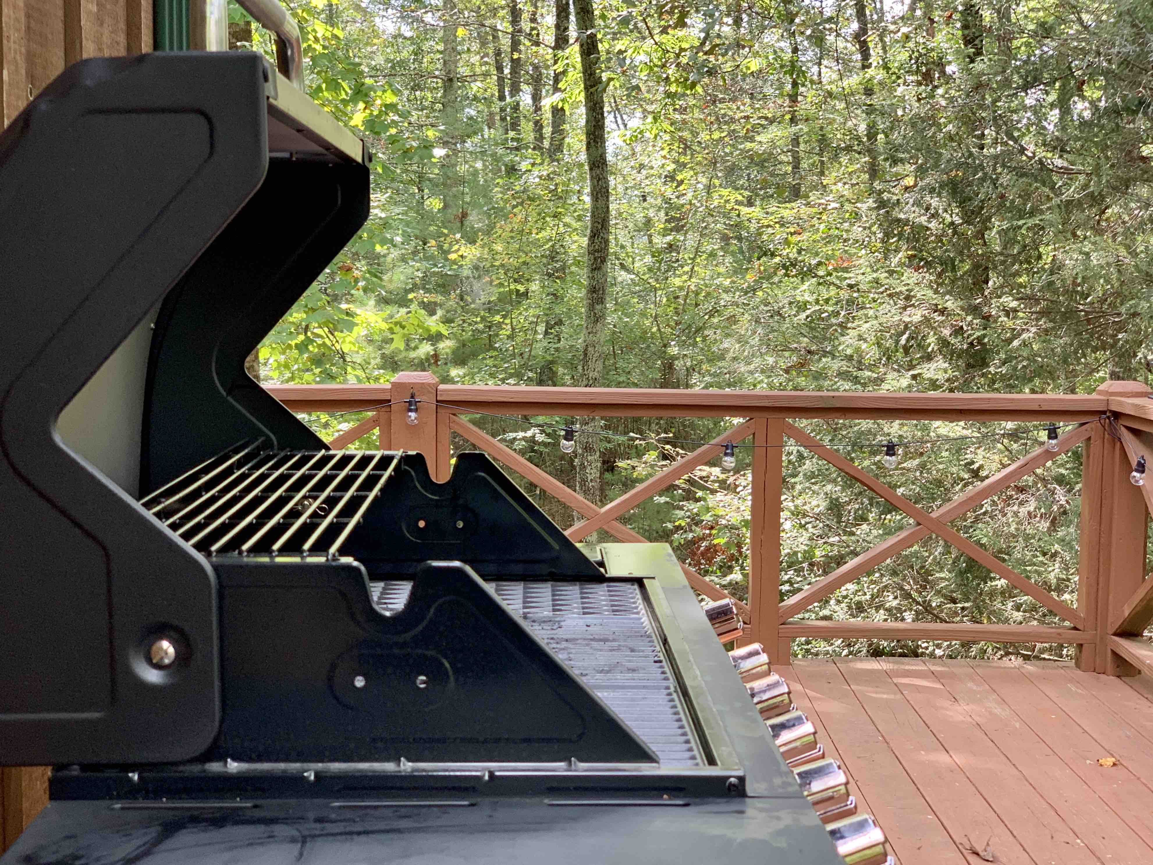 Dual Master Suites & High Speed Internet - Cabins for Rent in Lakemont ...