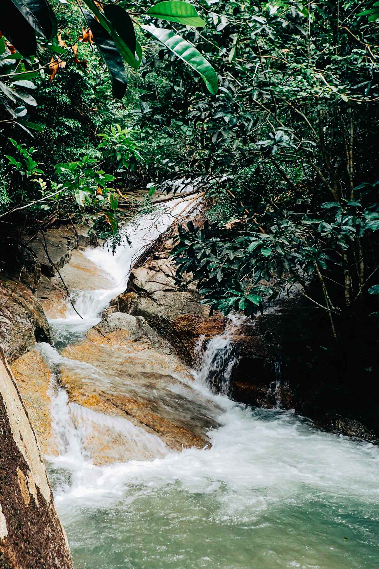The Secret Waterfall of Penang - Airbnb