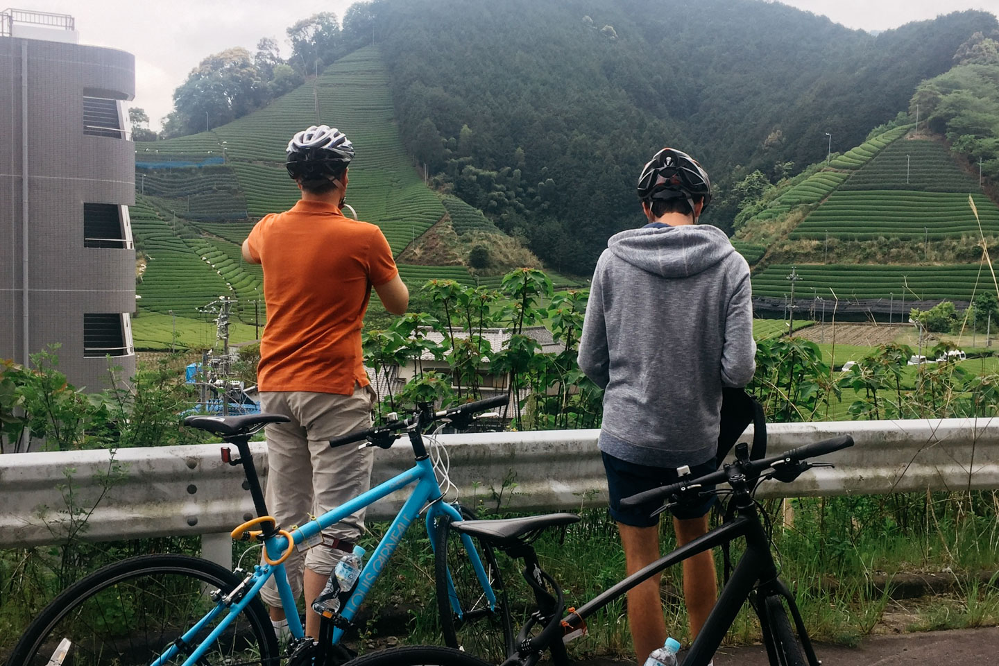 Short Bike Tour to a Green tea farm - Airbnb