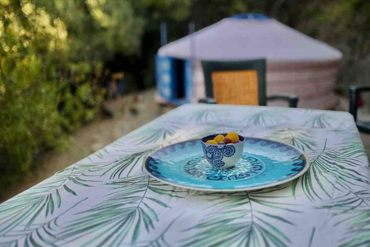 Total Immersion in Nature - Unmissable Magic - Yurts for Rent in ...