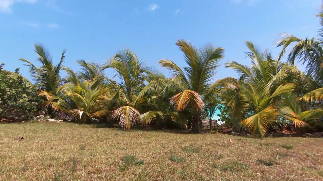 Queen of Hearts - Casas en renta en Rolleville, Exuma, Bahamas