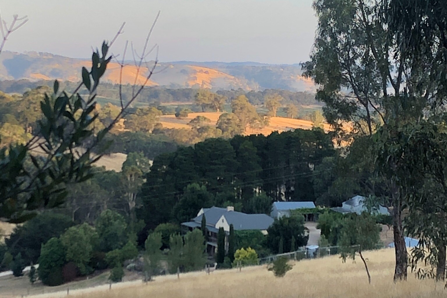 Roseberry Hill, farm stay - Guest suites for Rent in Clarendon, South ...