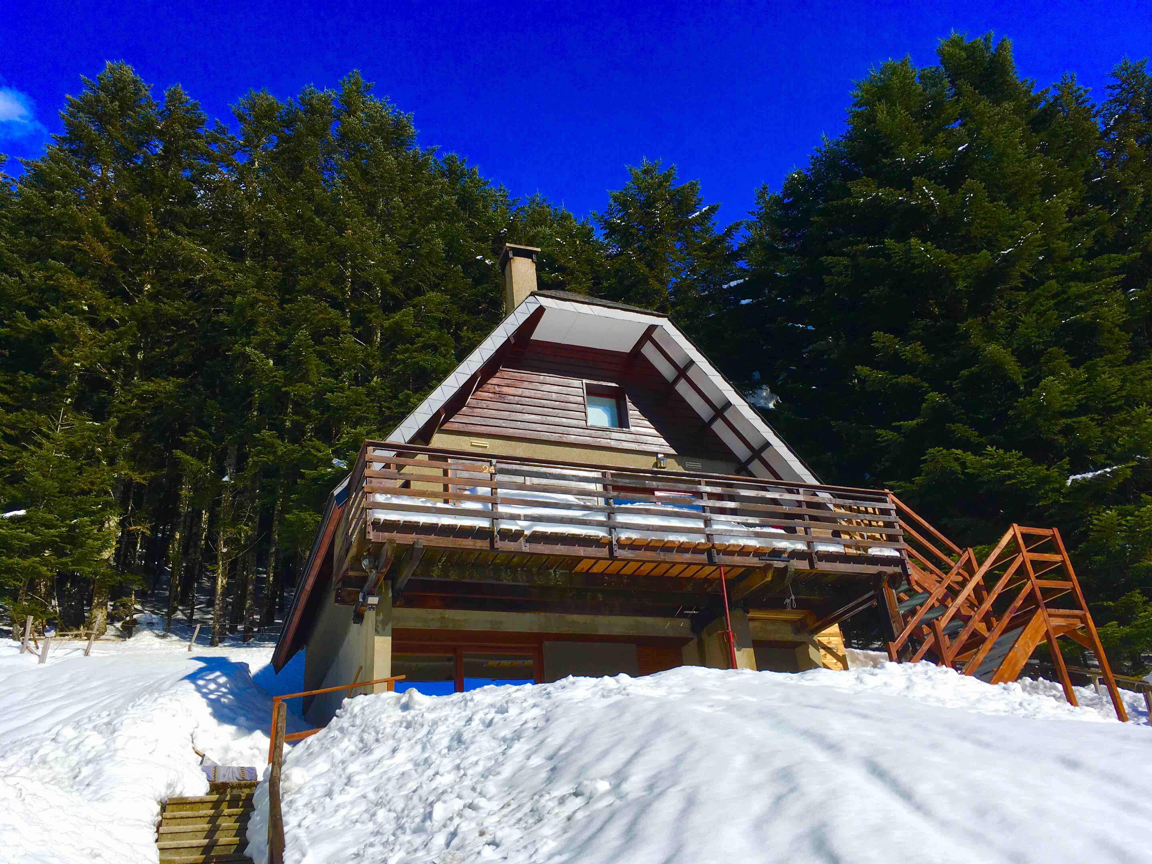 Payolle lake chalet on the edge of the Pyrenees forest - Chalets for ...