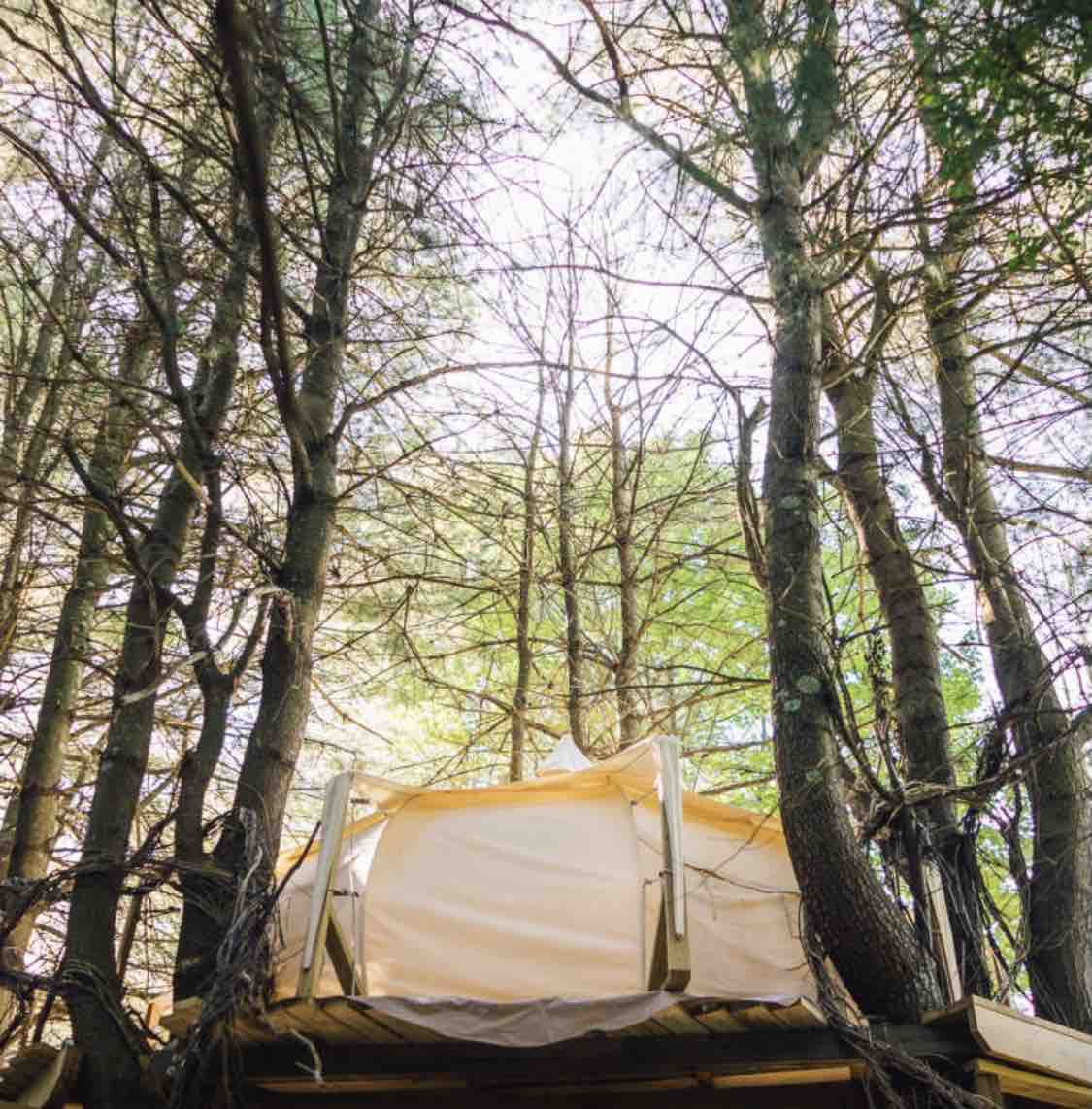 Mariaville Goat Farm Tree House - Treehouses for Rent in Pattersonville ...
