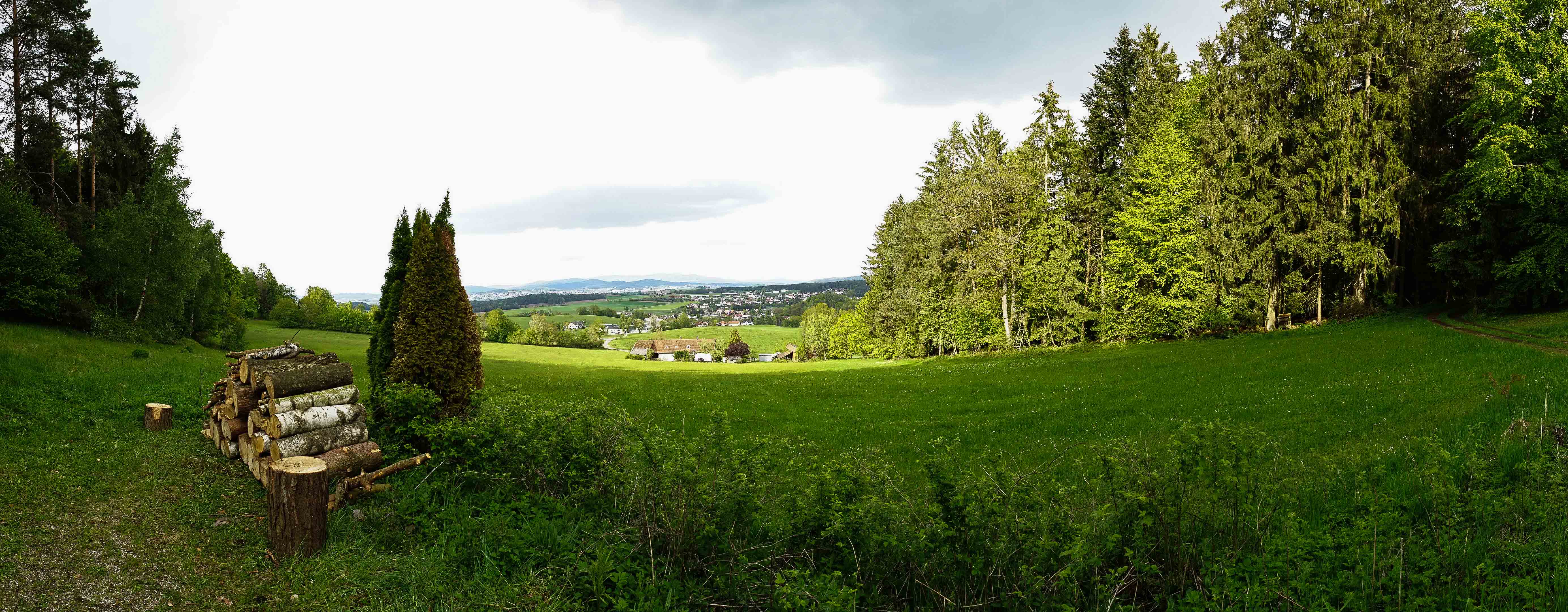 Forsthaus am Waldrand mit Ausblick im Bayer. Wald - Häuser zur Miete in ...