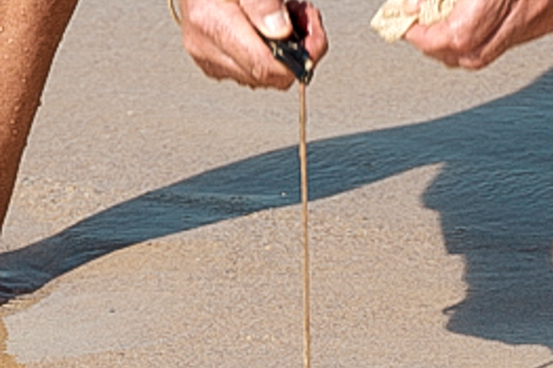 Learn to catch BEACH WORMS for BAIT - Airbnb