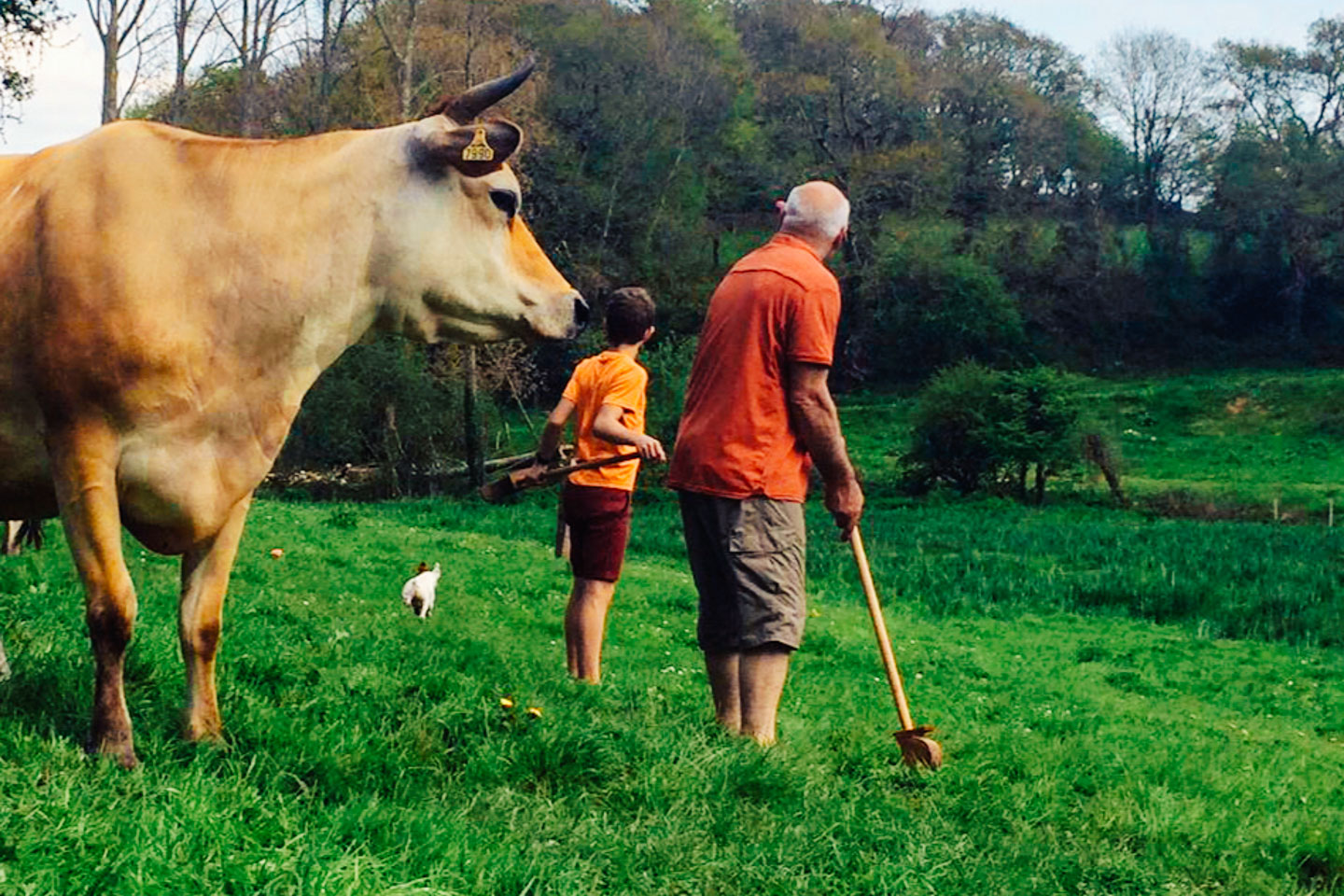 Golf in the middle of animals ! - Airbnb