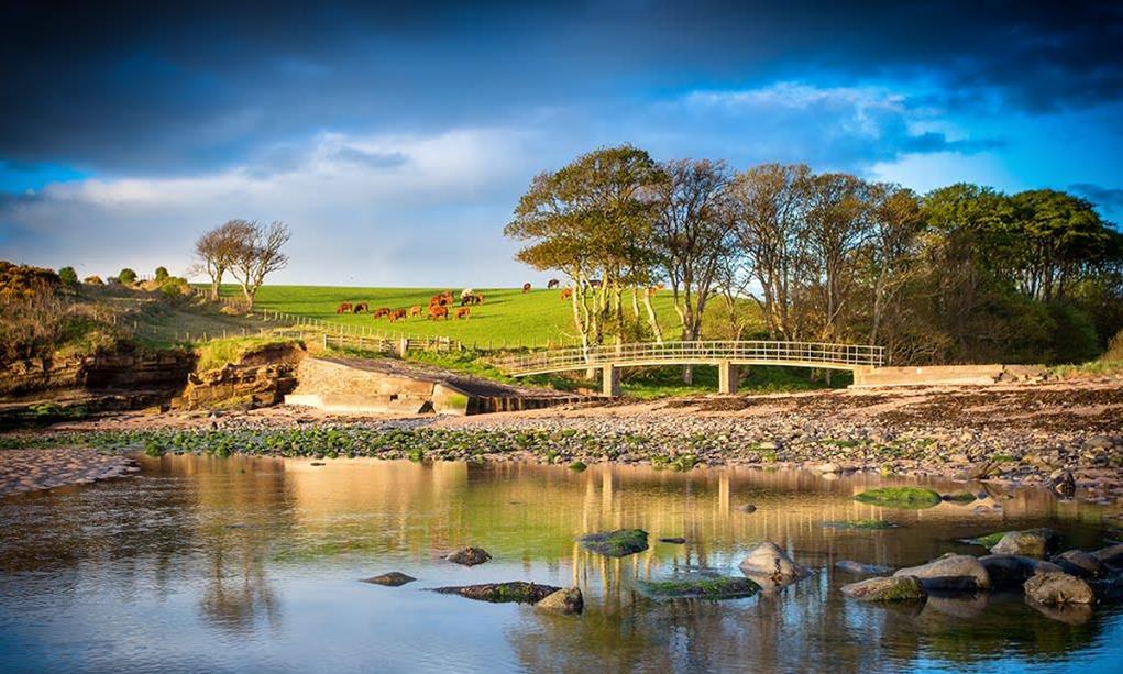 Sugar Sands Holiday Cottage - Houses for Rent in Longhoughton, England ...