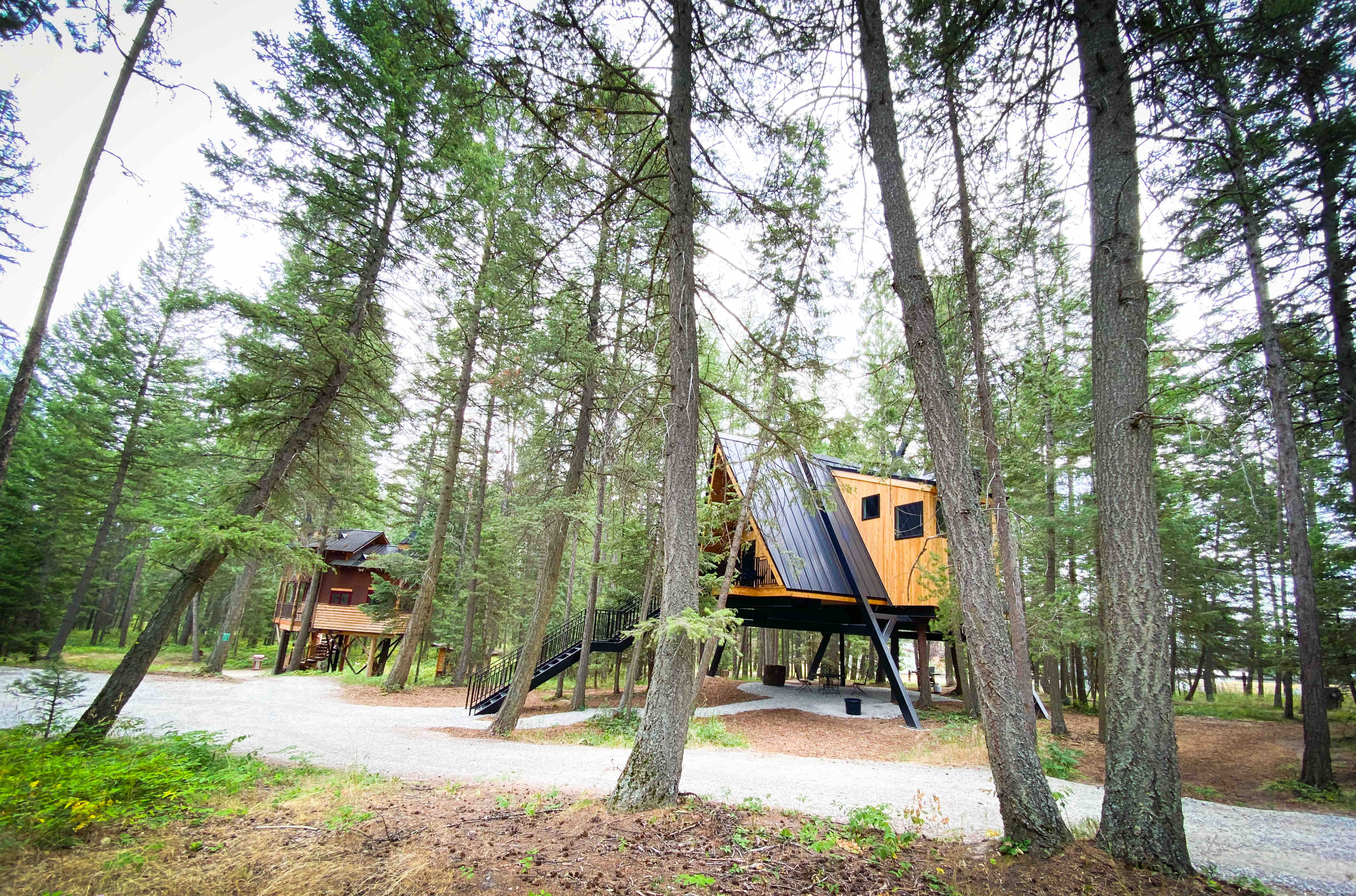 Raven's Nest Treehouse at MT Treehouse Retreat - Treehouses for Rent in ...