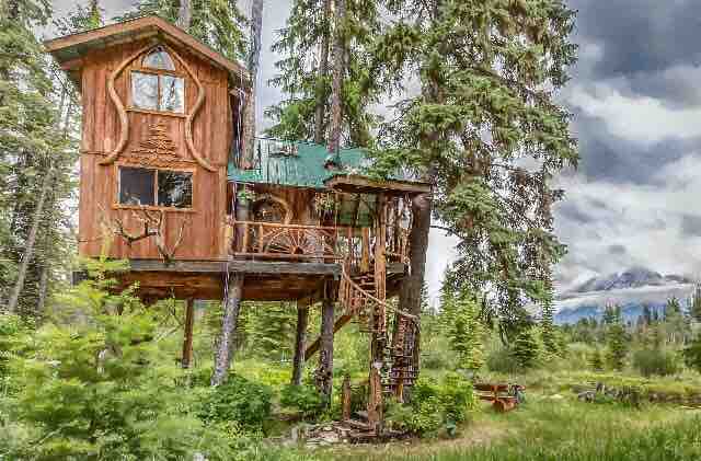 Welcome to our Unique Treehouse Private Lake Dock - Tree houses for ...