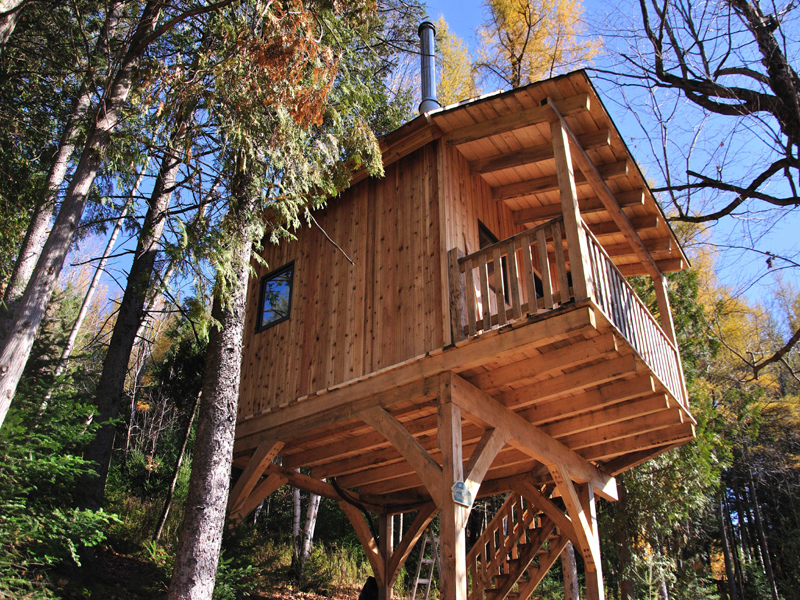 Owl Treehouse