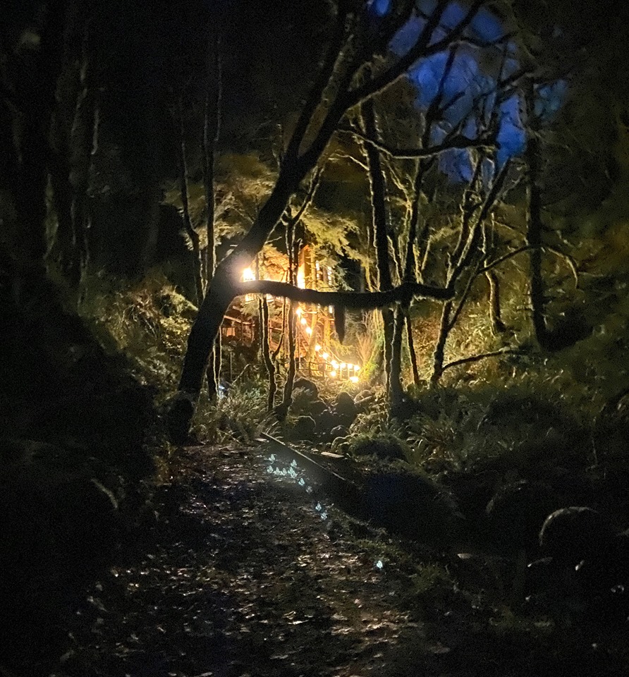 Lilly Glen Tree House at Taylor Creek Lodge - Treehouses for Rent in ...