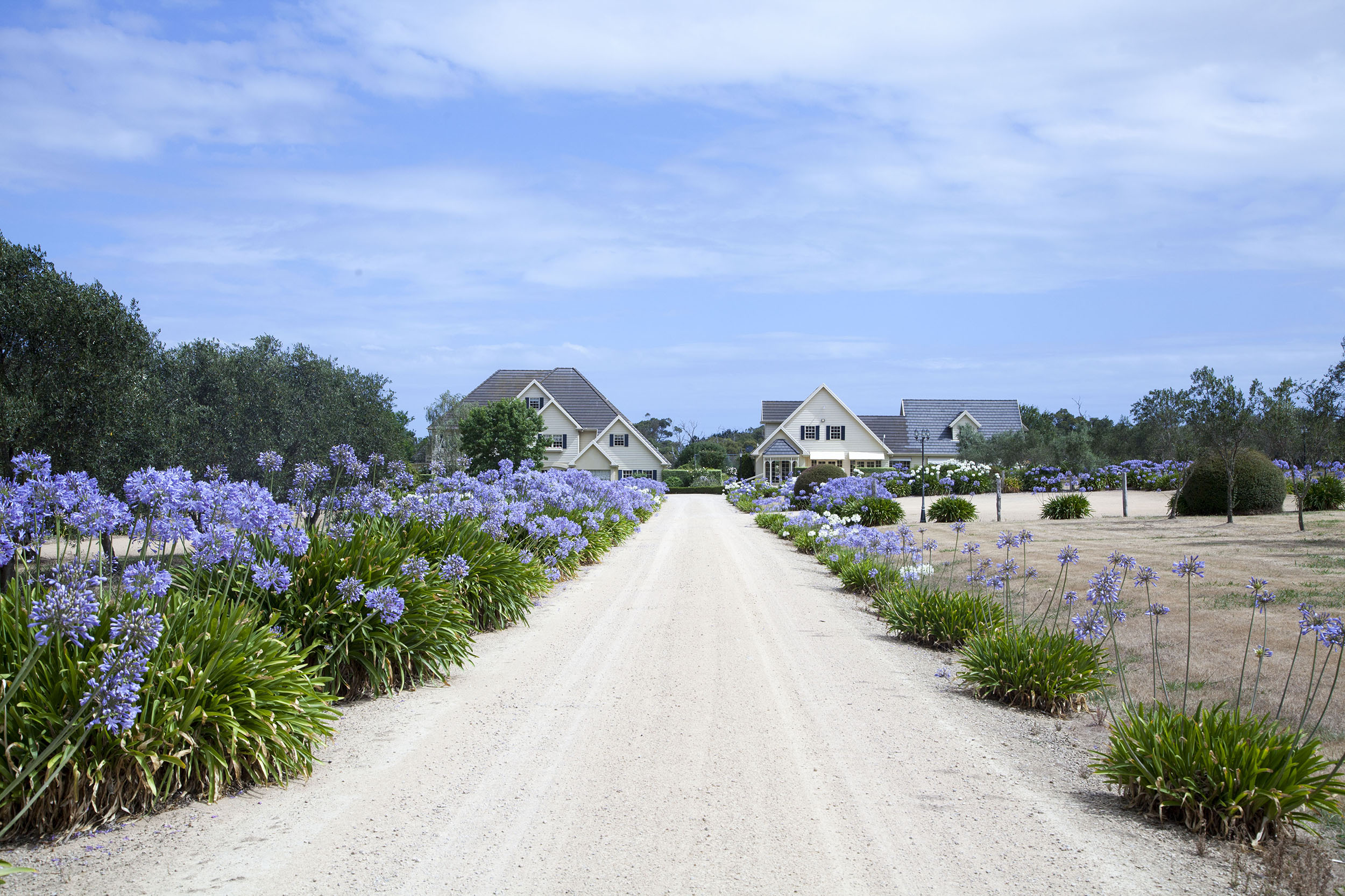 Summerfields Estate and Country House - Houses for Rent in Bittern ...