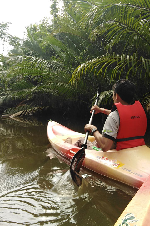 BIKE TO BACK ROAD OF KAMPOT AND KAYAKING - Airbnb