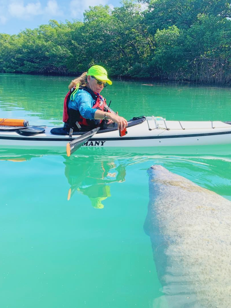 Manatee Photo Safari Kayak & Sup Tour - Airbnb