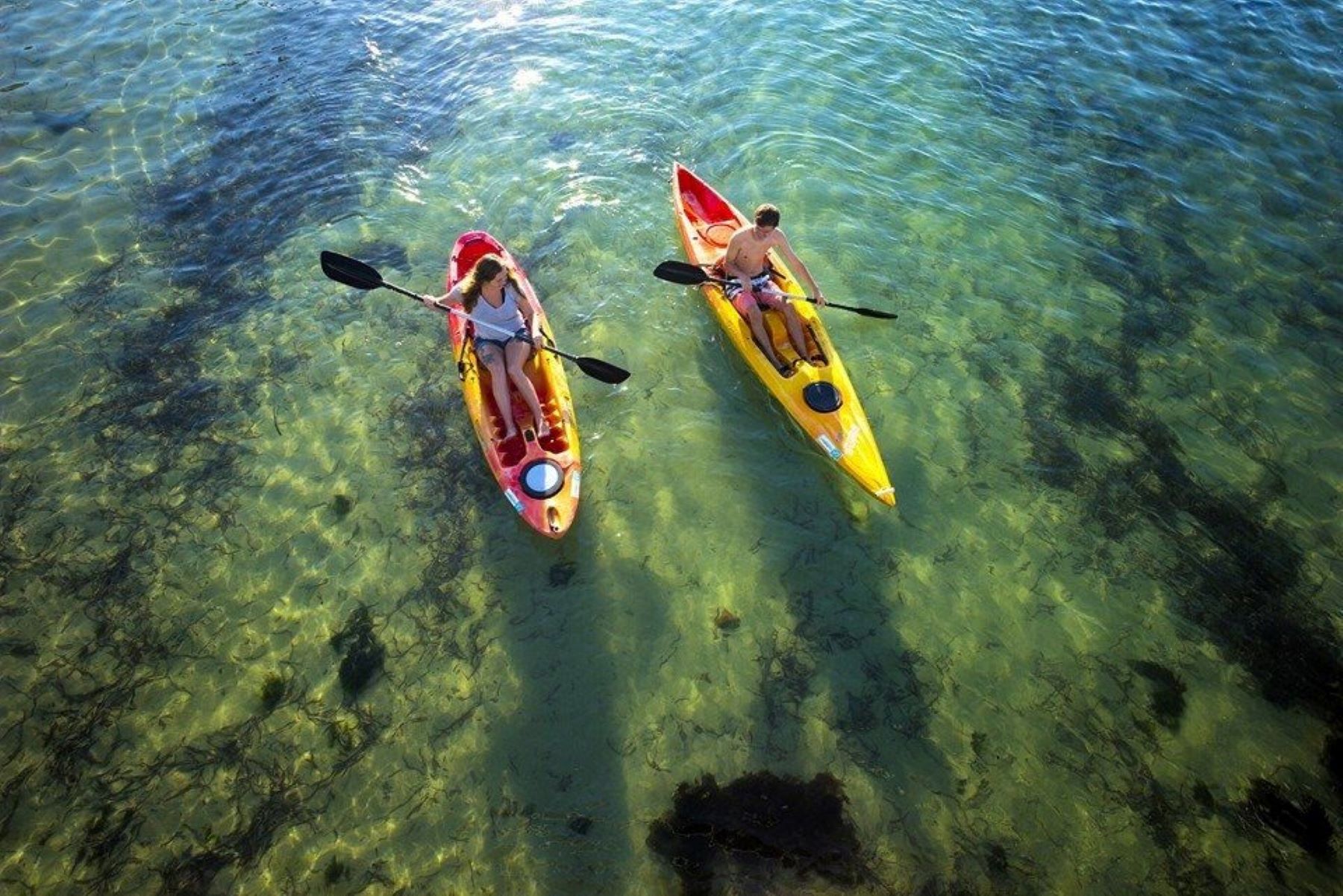 Mini Kayak Tour in Shoal Bay, Port Stephens - Airbnb