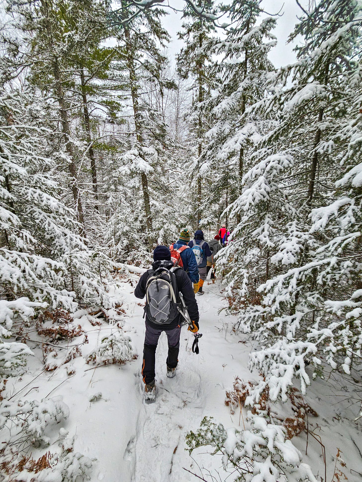 Winter Wonderland Hike - Airbnb