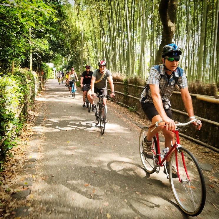 Bike the Best of Kyoto - Kyoto Bike Tour - Airbnb