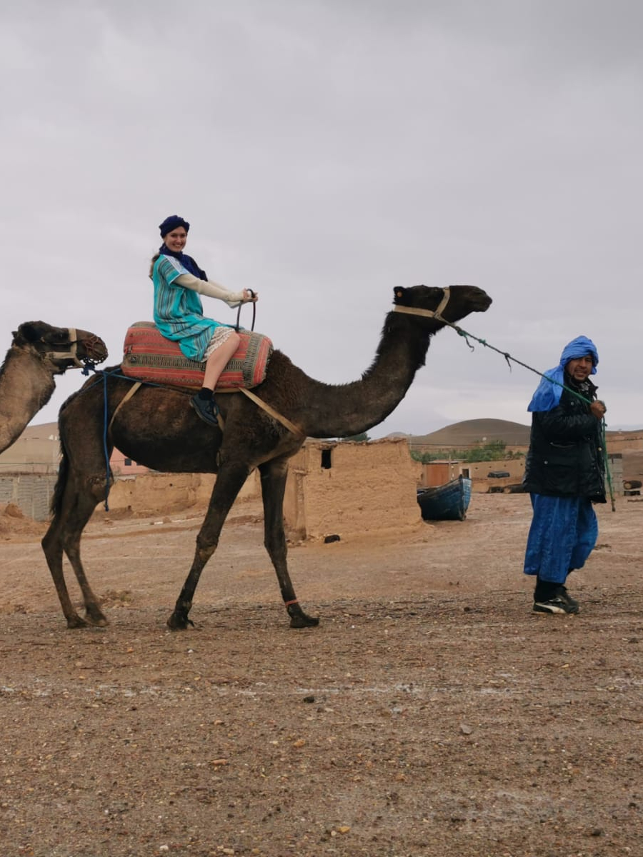 Unique sunset camel ride and dinner in Agafay desert - Airbnb