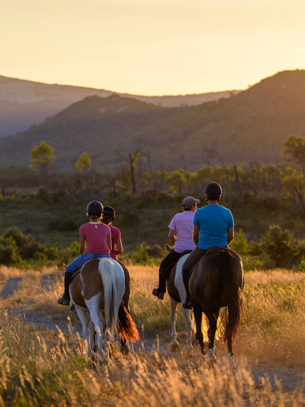 Horse & Sunset - Sunset Horseback Riding - Airbnb