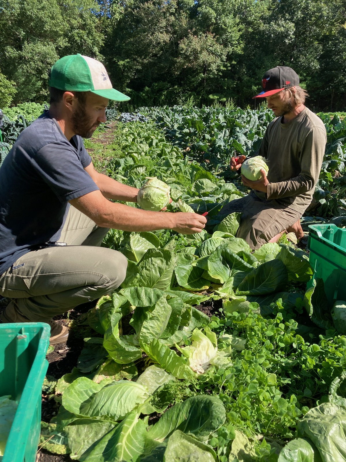 Expérience à la ferme bio non jusqu'à la ferme - Airbnb