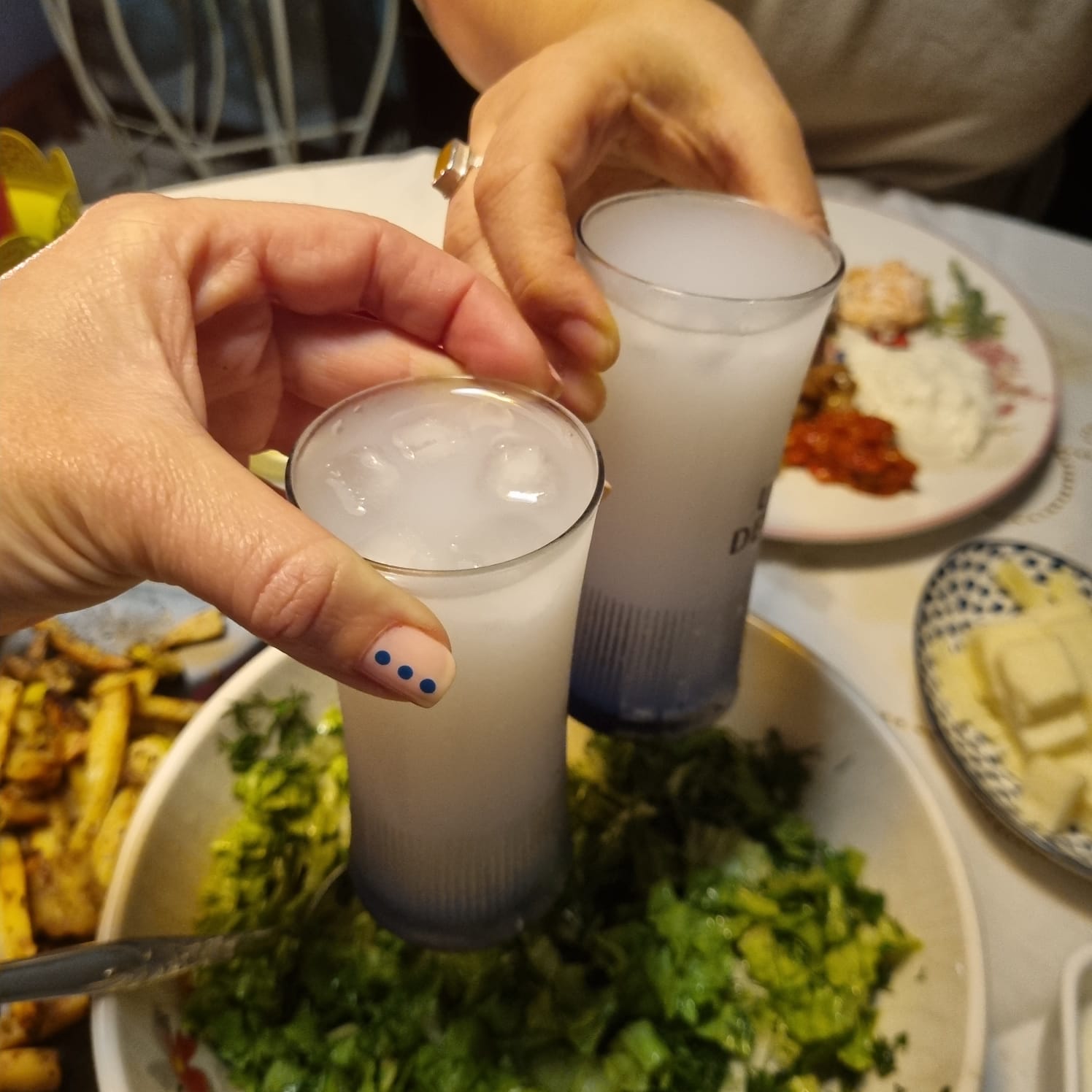 Dîner traditionnel turc au meyhane avec mezes et raki - Airbnb